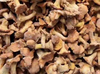 Saldētas gailenes neblanšētas III klase 1kg (mērvienība: gb) | Augļu ...